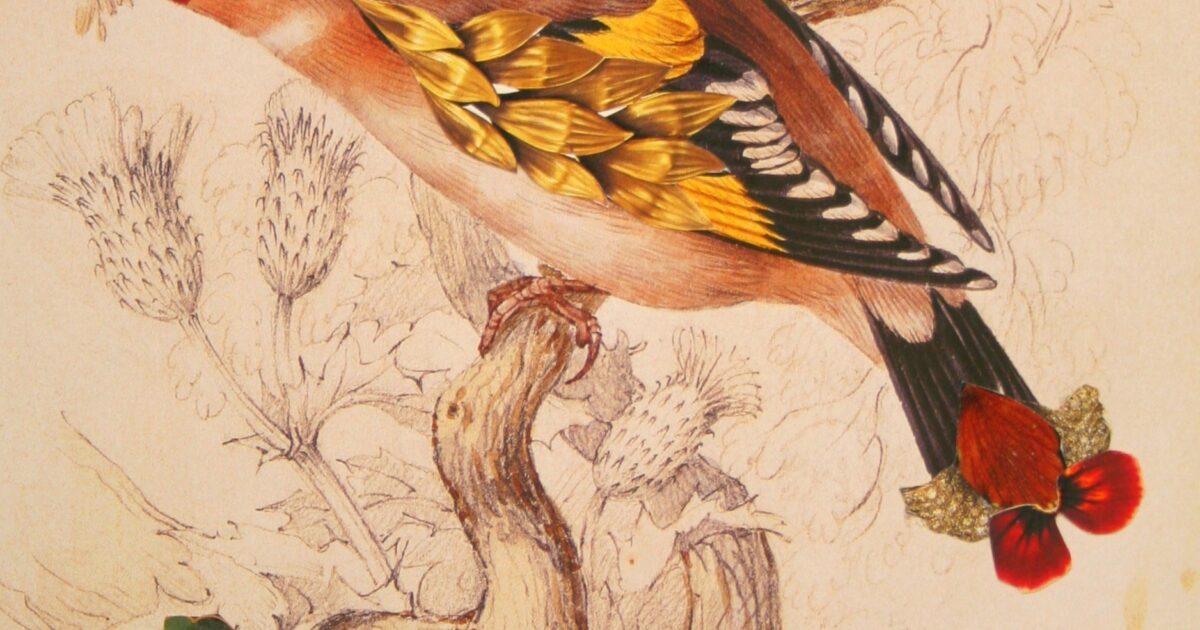 Landis Arboretum|Flights of Fancy - a Collage Workshop