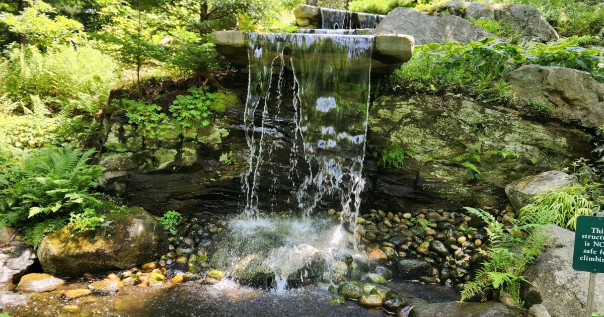 Landis Arboretum|Reciprocal Gardens Membership Benefit: Visiting the ...