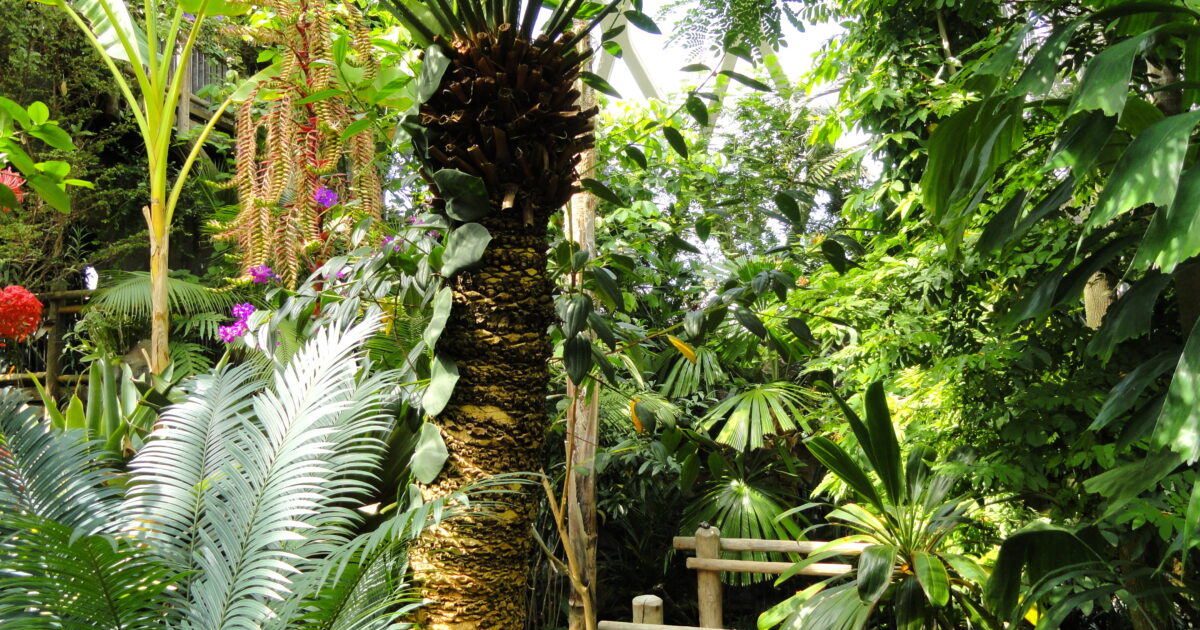 Landis Arboretum|Reciprocal Admissions: The Wonderful Landis Membership ...